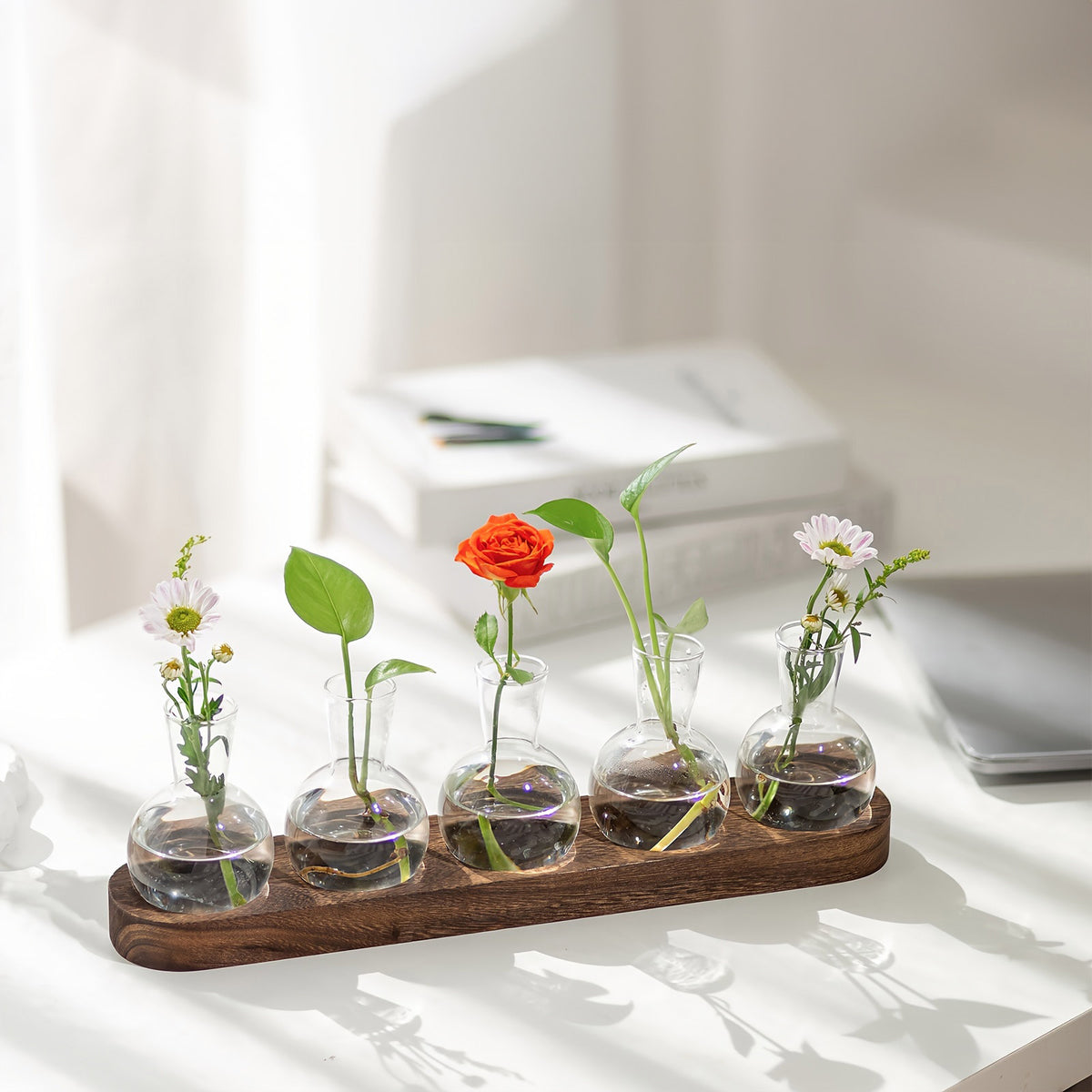 Woodland Horizon Station – House Plant Paradise