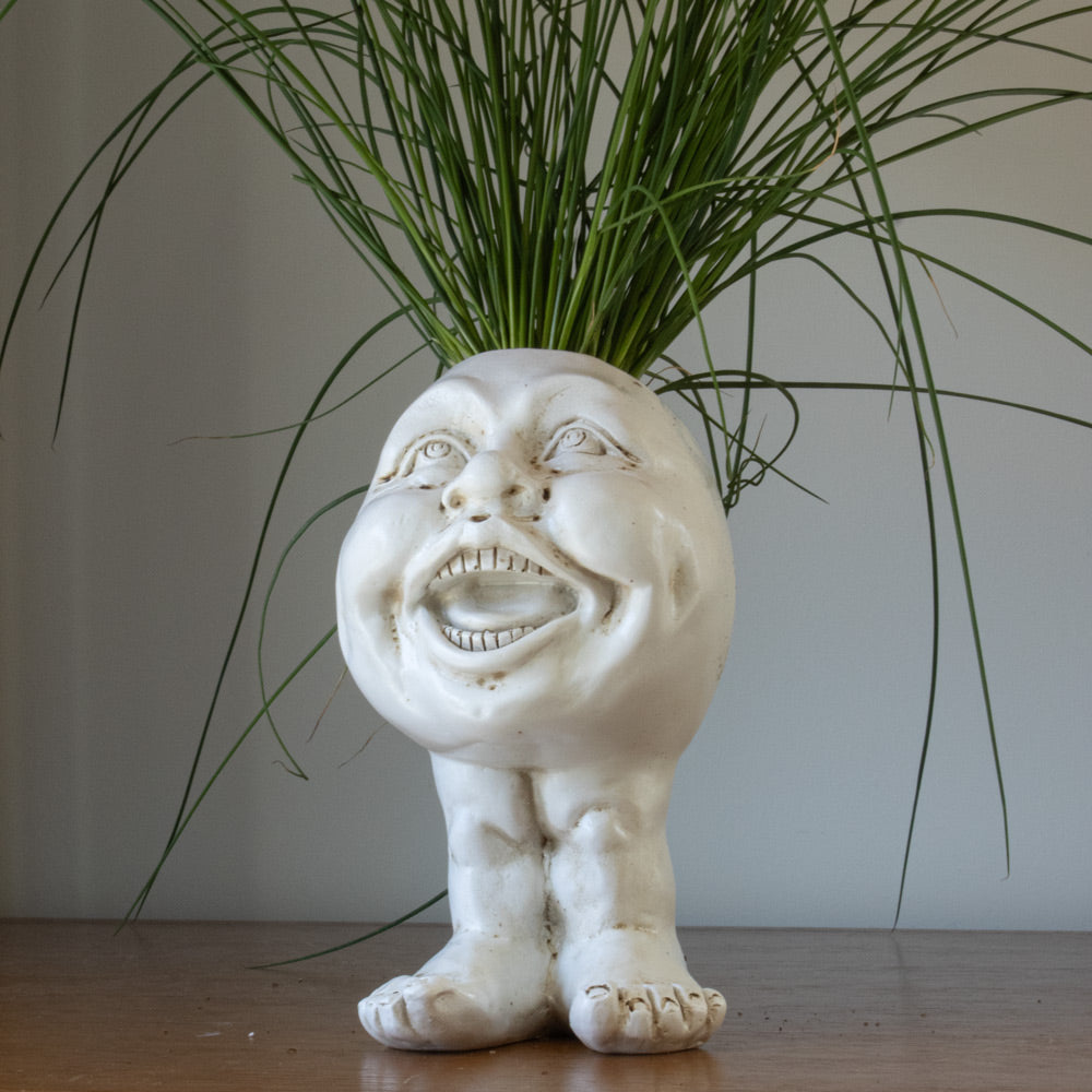 Muggly Planters – House Plant Paradise